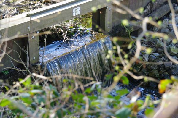 Leutingewolde - Water - Bitse